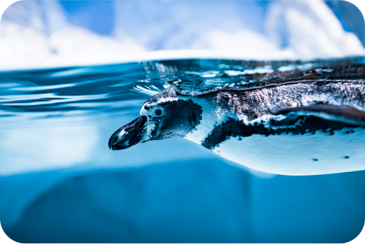 Earth by humans | Exploring Science and Nature of Earth